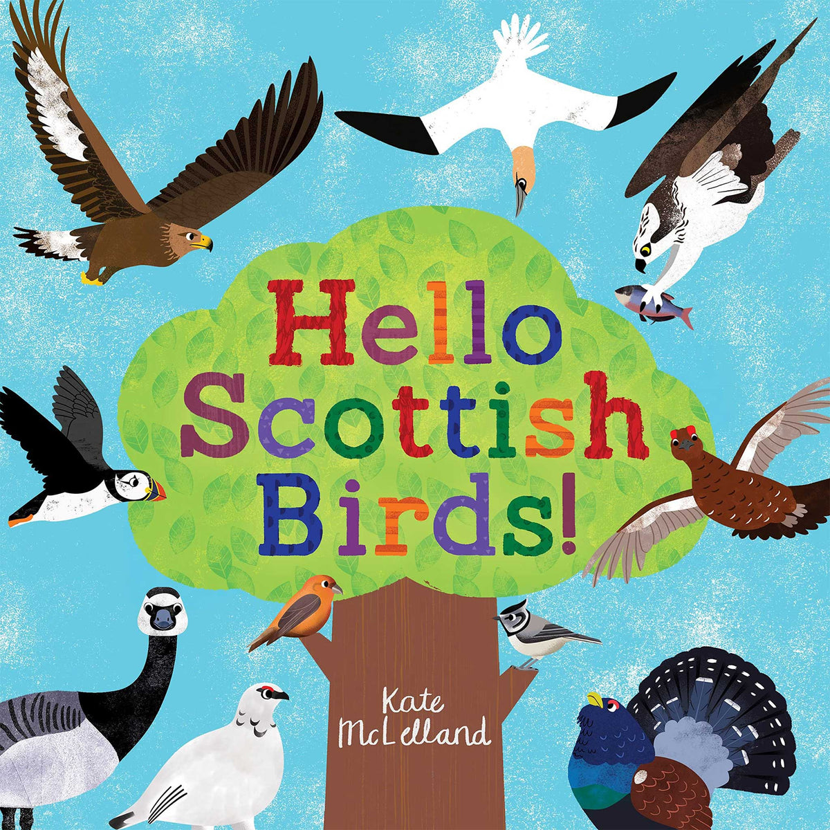 Hello Scottish Birds — Historic Scotland Shop
