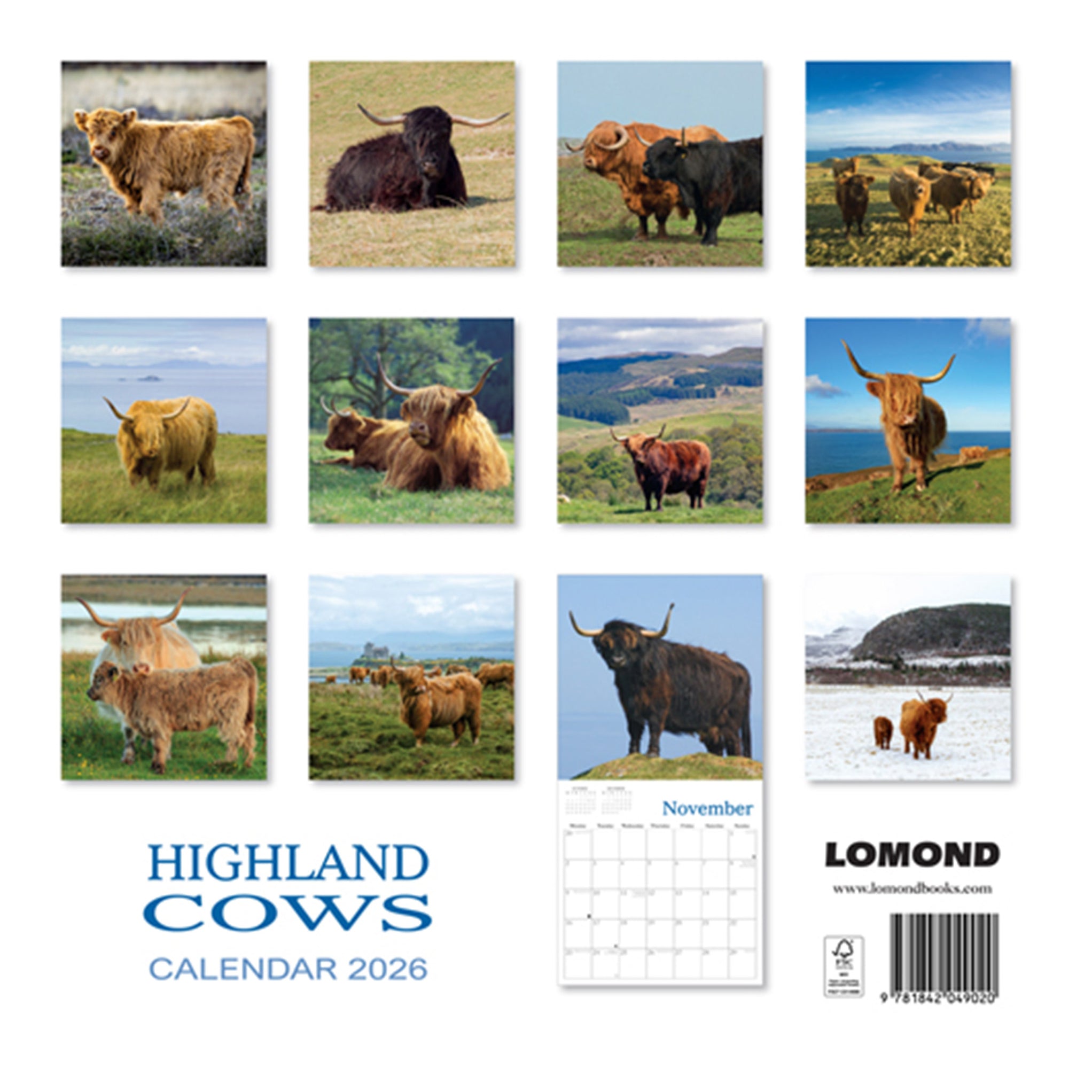 Highland Cows 2026 Calendar — Historic Scotland Shop