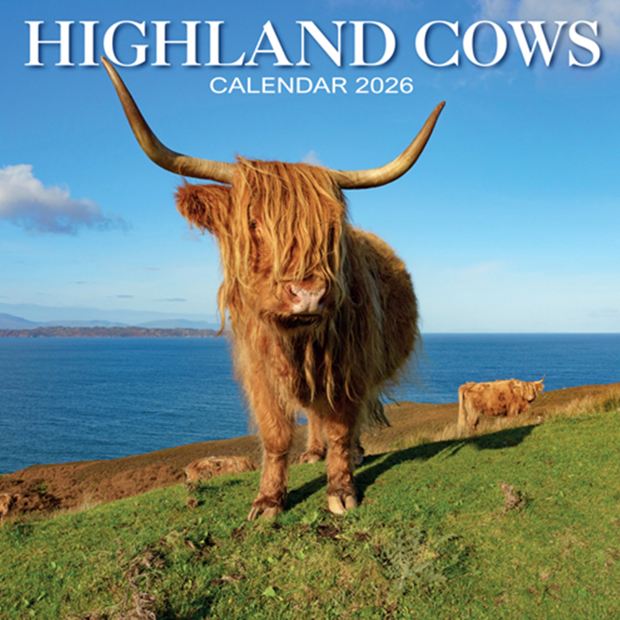 Highland Cows 2026 Calendar — Historic Scotland Shop