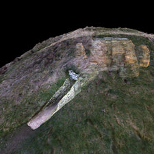 Orkney Digital Guide — Historic Scotland Shop